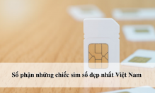 Số phận của TOP #5 sim đẹp nhất Việt Nam giá cả triệu USD
